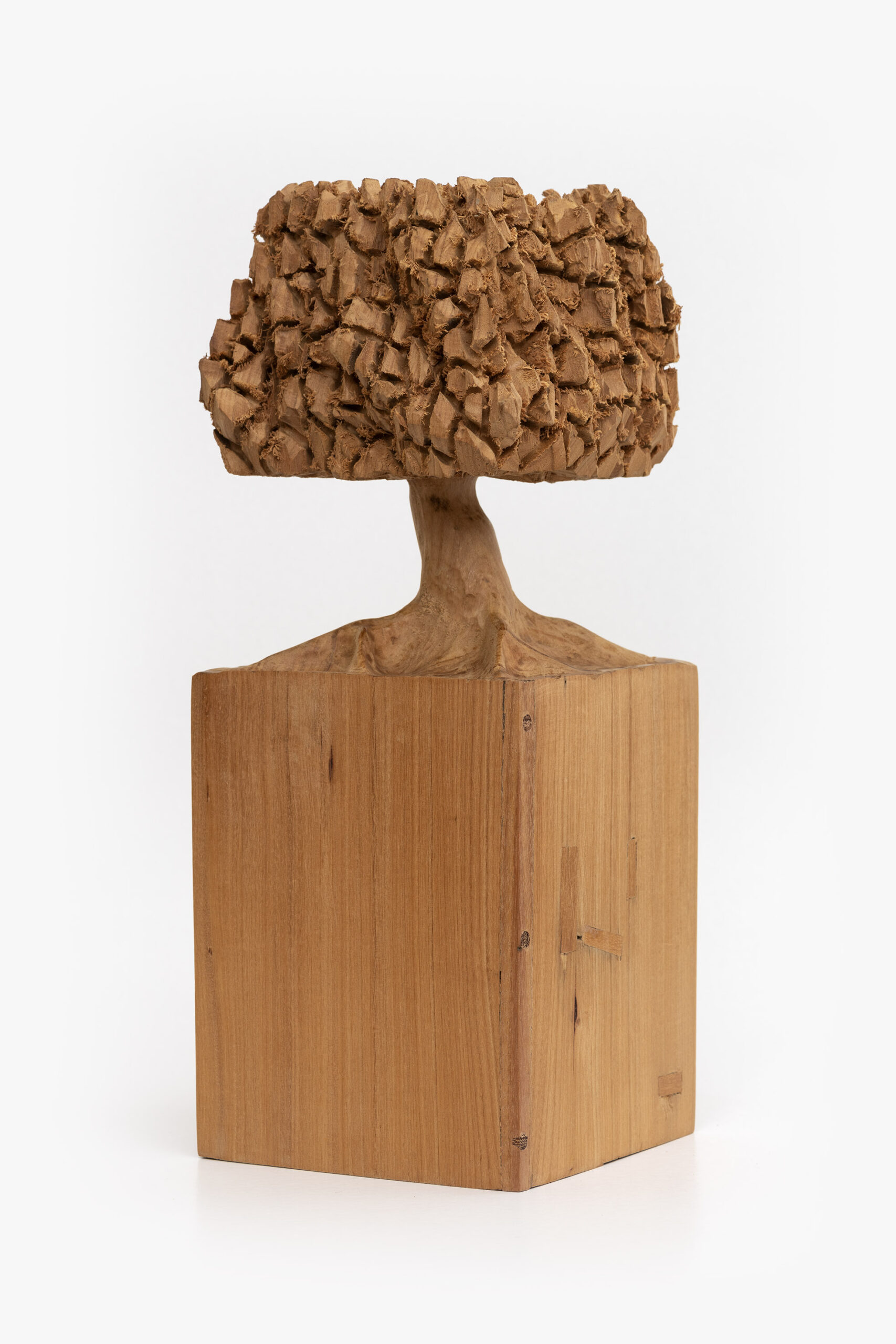 José Bento - Cerrado Galeria